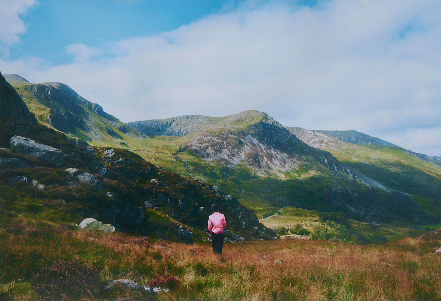 Portraits In Pink: Morgan Roberts – Thomas Pink